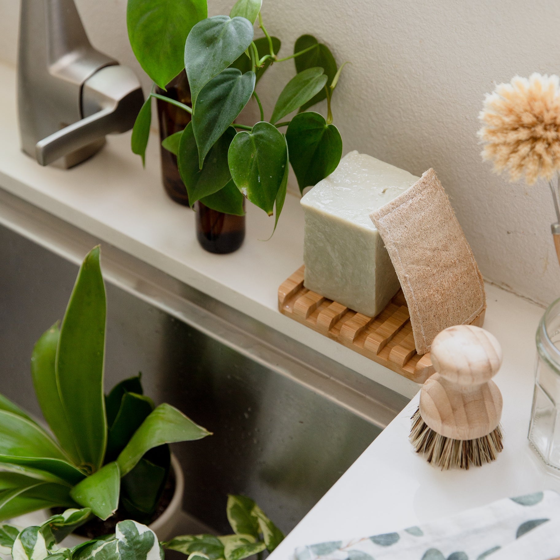 'Plantish' Eco Sponge – Towne Goods